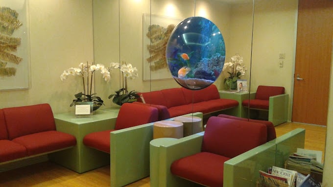 Dentist in Beverly Hills | Teeth Whitening, Invisalign, Dental Implants ...